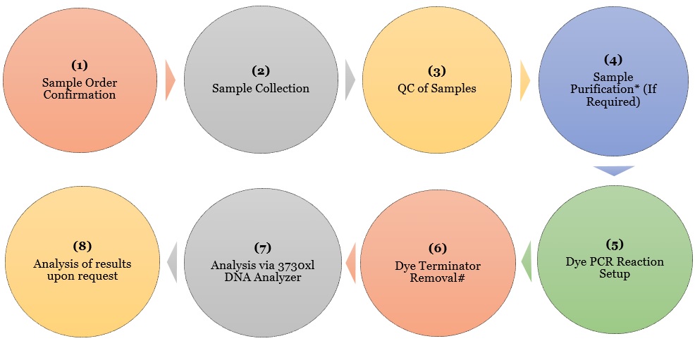 DNA Sequencing Services: Custom Sanger Sequencing | Bio Basic
