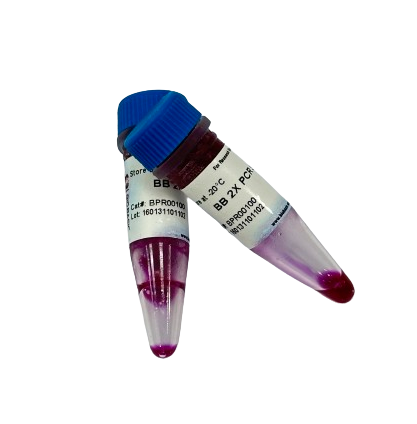 BB 2X PCR SuperMix | Bio Basic Asia Pacific Pte Ltd